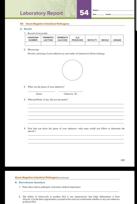 Solved Laboratory Report 5 4 Sorties 54 Gram Negative