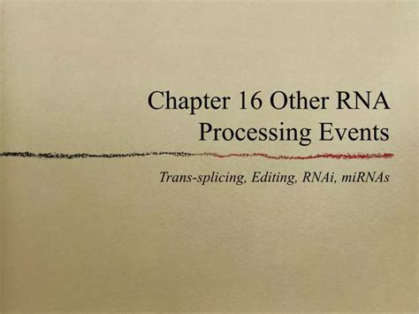 Ppt Chapter 16 Other Rna Processing Events Powerpoint Presentation Free Download Id 6878931