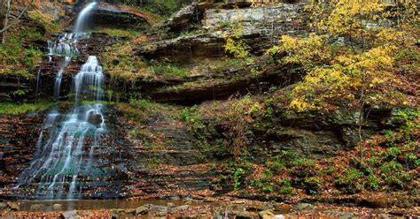 The 15 Best State Parks In West Virginia To Visit Asap