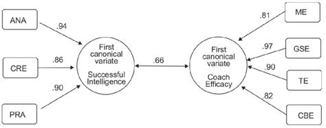 Loadings And Canonical Correlations For First Canonical Variate Pair