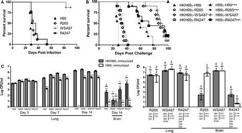 Frontiers Induction Of Broad Spectrum Protective Immunity Against
