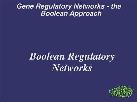 Ppt Gene Regulatory Networks The Boolean Approach Powerpoint