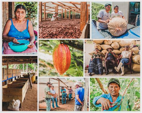 Understory Cacao Roasters