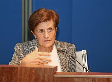 Galería Fotográfica Bilbao 2015 Sefse Areda