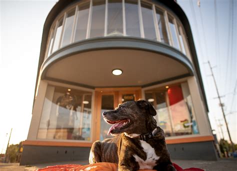 Announcing The Winner Of The 2023 Pets N Preservation Photo Contest