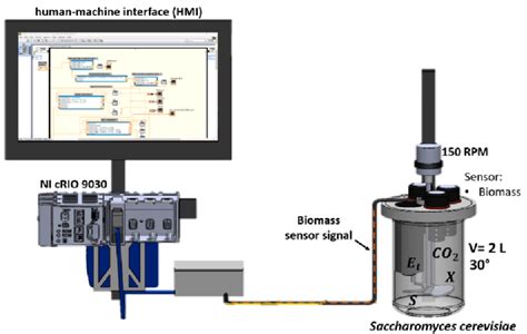 Schematic Of The Experimental Setup In Batch Operation Download Scientific Diagram