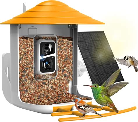 Smart Ai Bird Feeder With Camera Wireless Outdoor Easy
