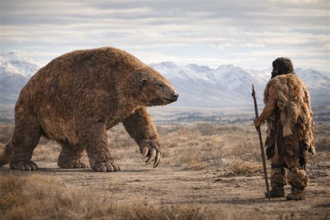 Extinct Ground Sloth Astonishing Facts From The Ice Age Giants