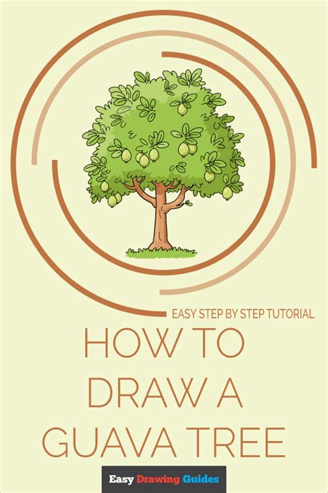 How To Draw A Guava Tree Drawing Tutorial Easy Willow Tree Easy Drawings