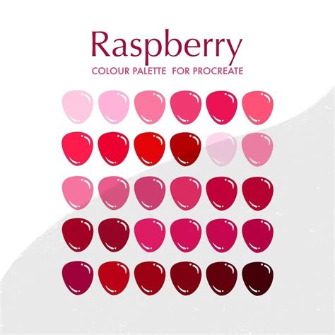 Raspberry Colour Palette For Procreate Pinks Reds Burgundy 30