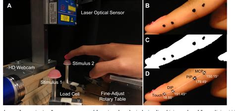 Figure 1 From Roles Of Force Cues And Proprioceptive Joint Angles In Active Exploration Of
