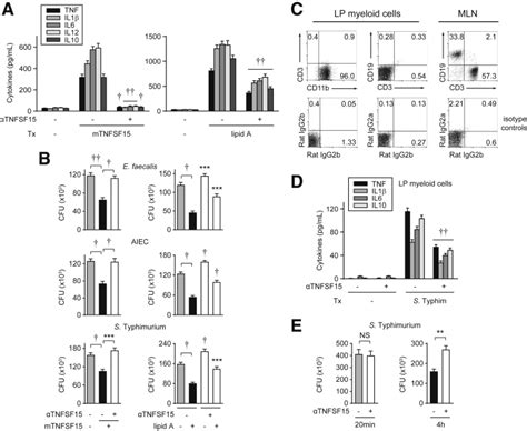 Tnfsf15 Promotes Antimicrobial Pathways In Human Macrophages And These