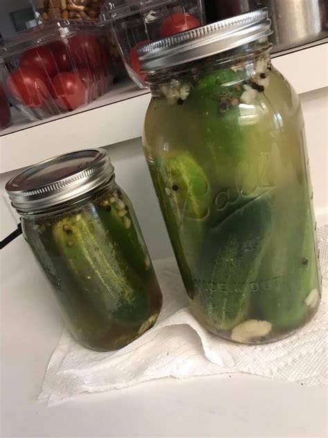 The Best Pickles On Earth Half Sours Im Hangry Yall