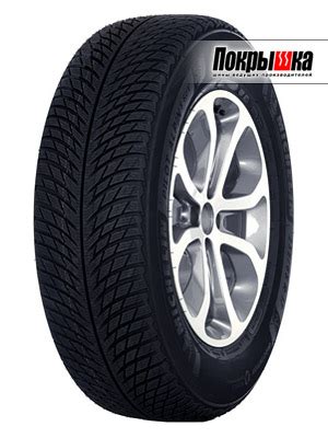 Шины Michelin, купить резину Мишлен с доставкой