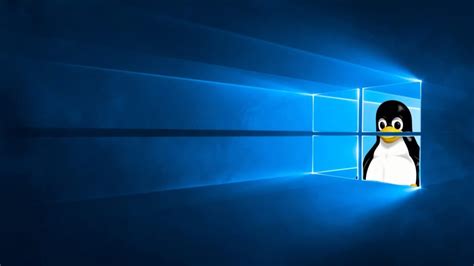 how to install wsl2 linux and openfoam on windows 11