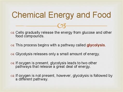 Chapter 9 Cellular Respiration 9 1 Chemical Pathways