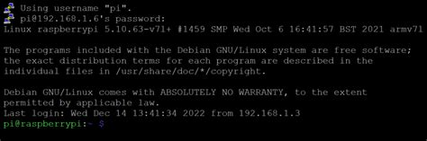 Learn How To Remotely Access Raspberry Pi Devices