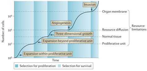 Cancer Escaping Resource Limitations During Tumor Evolution Biology