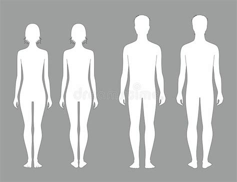 Female Human Body Outline Front And Back
