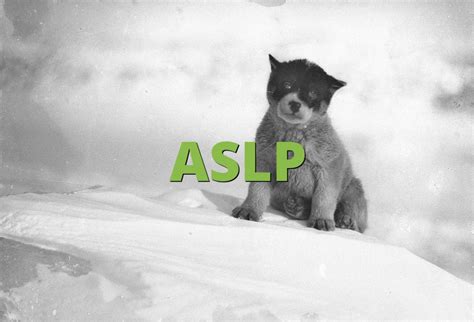 ASLP Meaning Slang Org