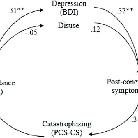 Descriptive Statistics Of The Fear Avoidance Model In Healthy Adults N Download Scientific