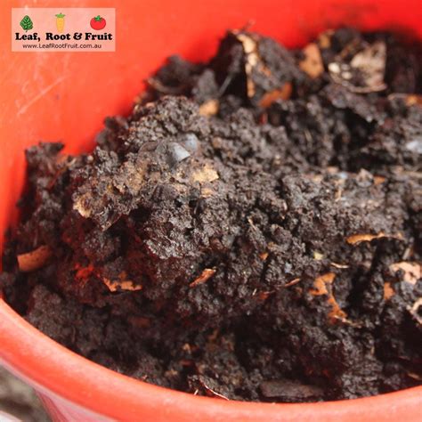 Improving Soil Nutrient Availability By Duncan Cocking