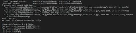 Incorrect Results For Models With Dynamic Input Shape · Issue 1112