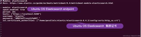 Observability：集群监控 （二） Elastic Stack 8 X Llection Enabled Csdn博客