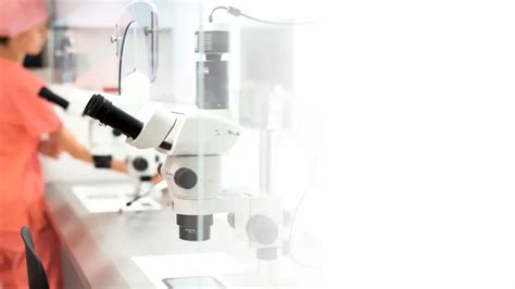 Estradiol How Affects Your Fertility And Ivf Vida Fertility