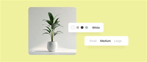 Build An Effective Product Taxonomy For Better Online Browsing 2024 Shopify