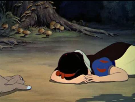 Midterm Flashcards Quizlet