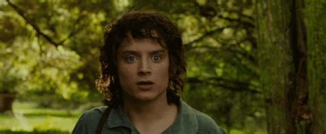 반지의 제왕 반지원정대 눈알 요정 프로도 심화 네이버 블로그