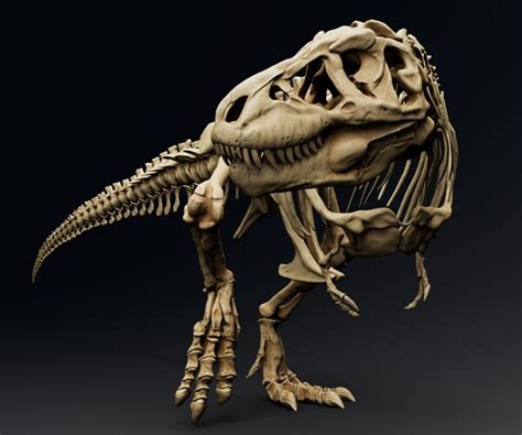 Artstation Trex Sue Skeleton Unreal Engine Unity Projects Game Assets