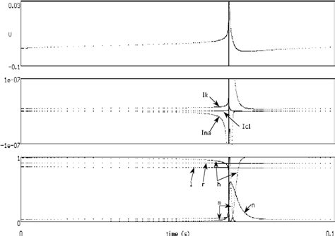 Display Of Membrane Potential Top Ionic Currents Middle And Download Scientific Diagram
