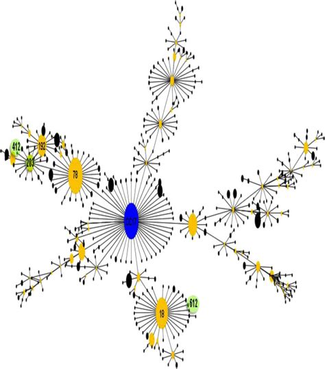 clustering of mlst profiles using the eburst database algorithm our