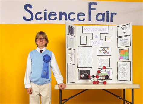 8th Grade Makeup Science Fair Projects Mugeek Vidalondon