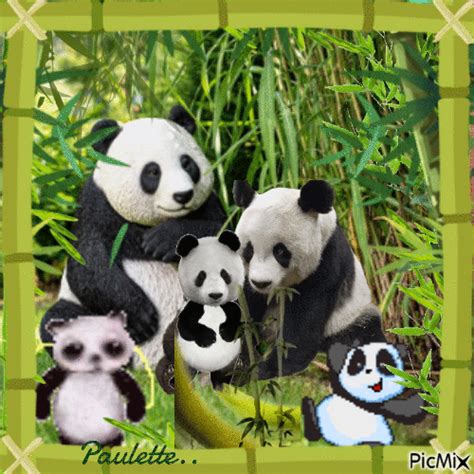 pandas free animated picmix