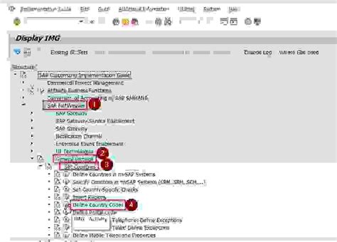 Define Country Codes In SAP