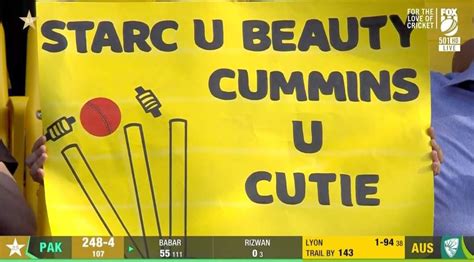 No Arguments Here Cricket