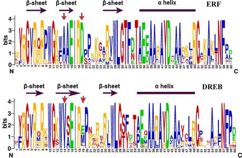 Sequence Logo Of Ap2 Erf Domains Extracted From Erf And Dreb Protein Download Scientific