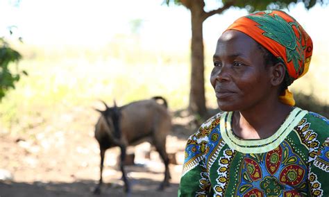 Gender Transformative Approaches Cgiar