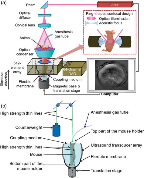 Experimental Setup Of The Full Ring Confocal Whole Body Photoacoustic Download Scientific