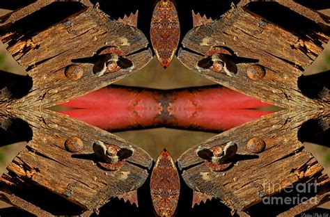 Rusty Objects Tiled Photograph By Debbie Portwood Pixels