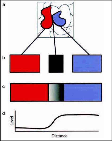 A Model Template For The Study Of Boundary Function Any Model To