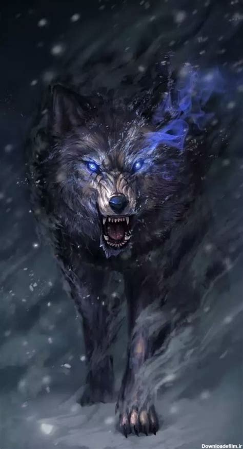 عکس گرگ دخترونه برای پروفایل