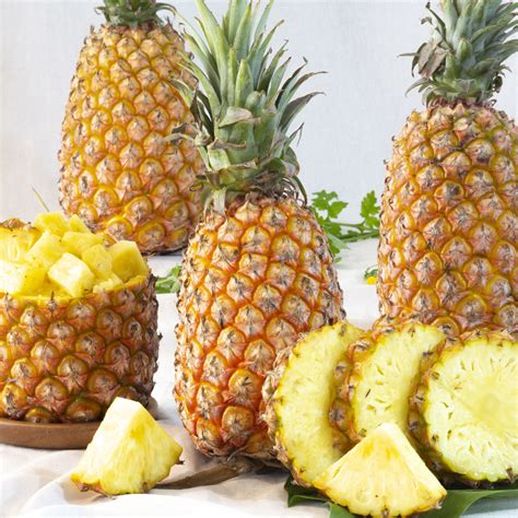 단독수입 한정수량 18브릭스 대만 다이아몬드 골든 파인애플 특대과 2입 외 바나나용과포도아보카도 티몬