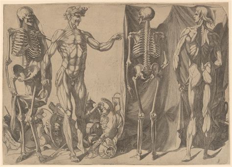 Domenico Del Barbiere Two Flayed Men And Their Skeletons The Met