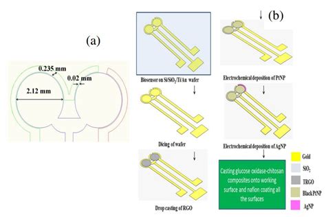 A Highly Performed Enzymatic Biosensor Using Distributed Electrodes Decorated With