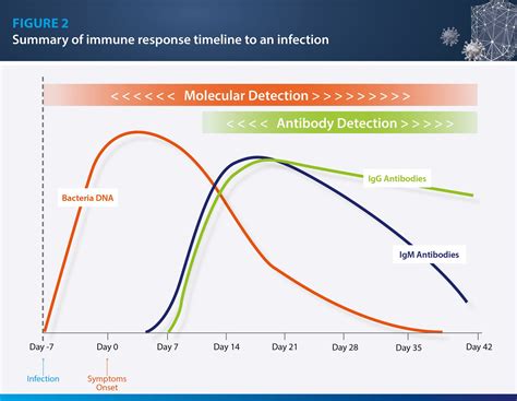 Fundamentals Of Bovine Immunity
