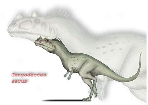 Genyodectes Cool Dino Facts Wiki Fandom